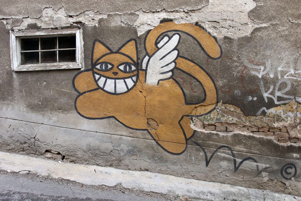 Monsieur Chat: The Yellow Cat Who Smiles Down Upon Sarajevo’s Passers ...