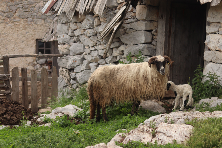 Mountains: Once a Place of Fear, Now a Beacon of Unity | Balkan Diskurs