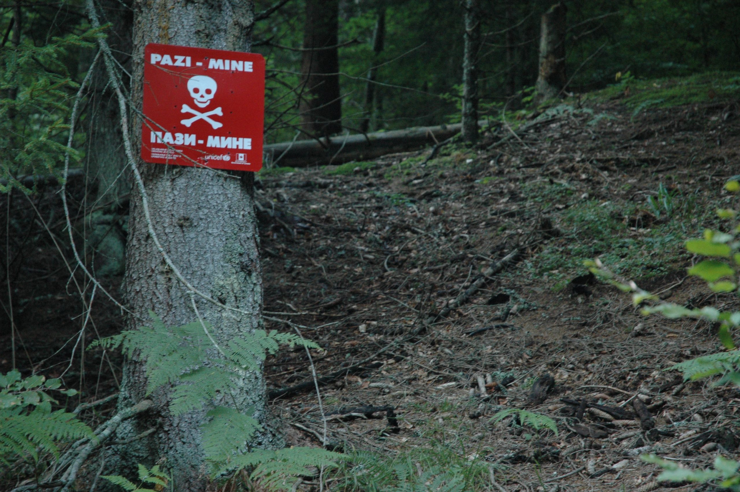 Everyday Danger Lurks: Mines and Unexploded Ordinances in Bosnia and ...