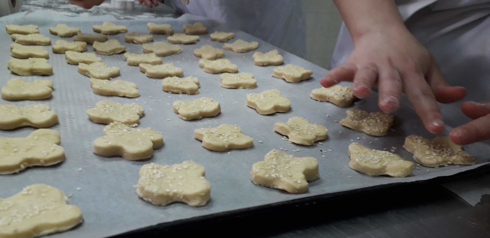 Usklađivanje obrazovanja i zahtjeva tržišta rada | Balkan Diskurs